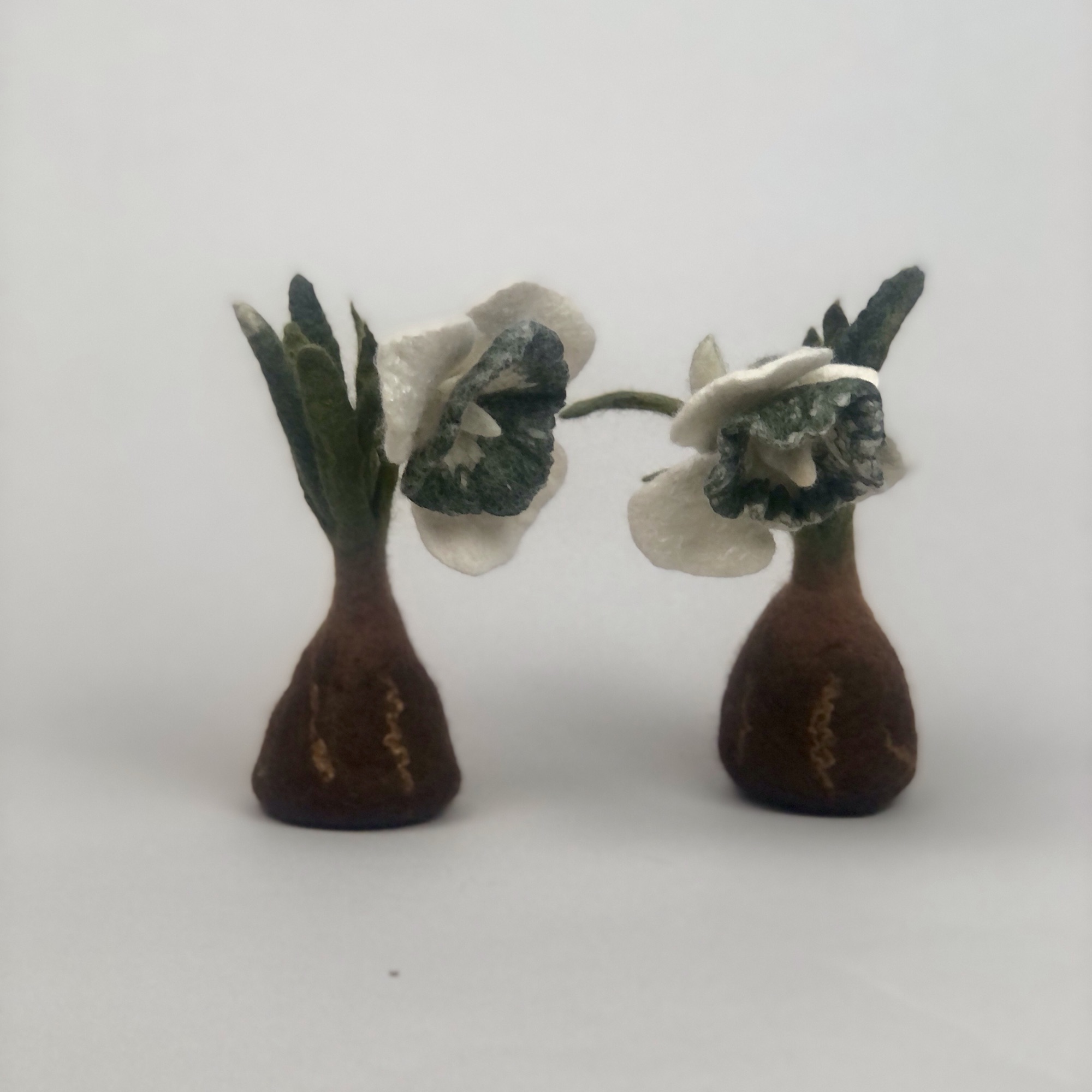 A Taste of Spring – Judith Colvin Designs